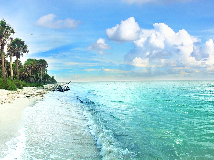 Fifty shades of blue meet pristine white sand. This isn't a heavily filtered Instagram post&mdash;it's just another Tuesday on Cayo Costa.