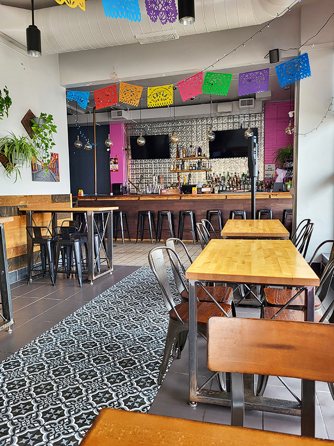 The dining area strikes that perfect balance between "nice enough for date night" and "casual enough that you can lick your plate clean." 