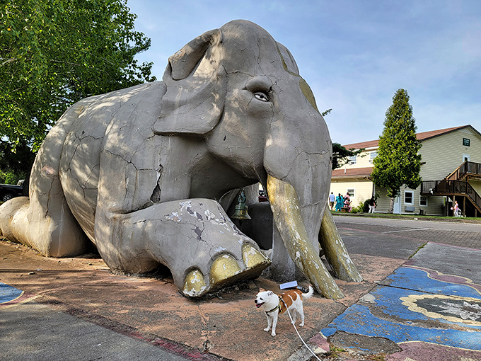 An elephant sculpture that's seen better days offers a quirky welcome. Even concrete pachyderms deserve their moment in the West Virginia sun.