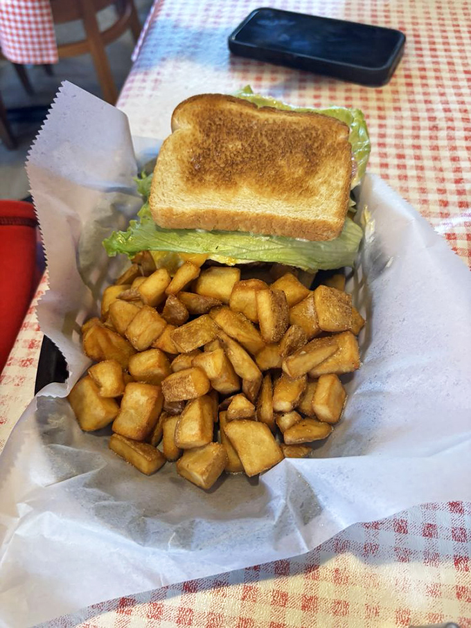 When a sandwich and home fries look this good, you understand why some Raleigh residents schedule meetings around their Big Ed's lunch pilgrimages.