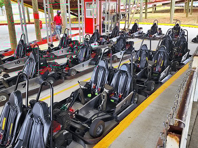 A fleet of go-karts stands ready for action &ndash; each one harboring the potential to make accountants drive like NASCAR hopefuls and teenagers suddenly obey rules.