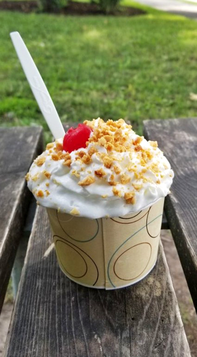 The Twister with crushed cookies and cherry on top&mdash;proof that ice cream is happiness in physical form. Summer in a cup.