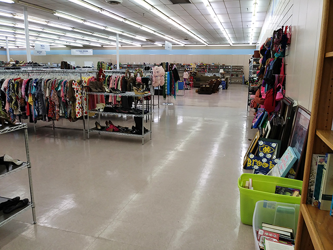 The store's expansive layout reveals itself like a department store from another era, where bargain hunters navigate by the blue stripe that circles the walls.