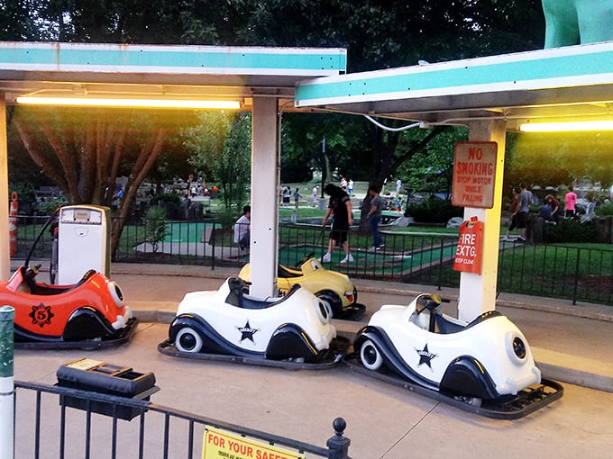 These pint-sized kiddie karts give tomorrow's drivers their first taste of the open road, minus the insurance premiums and parallel parking anxiety.