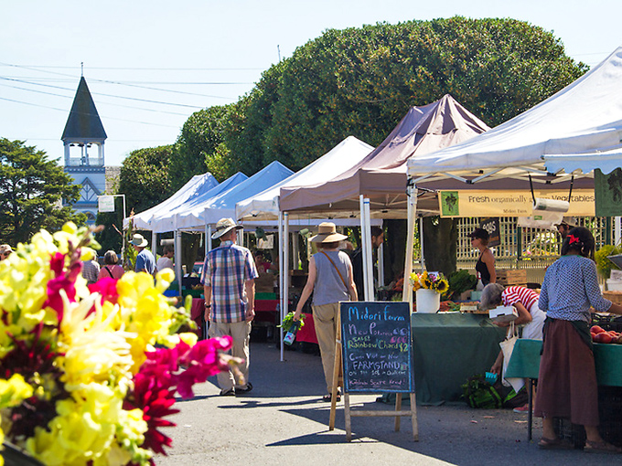 The farmers' market transforms a simple parking lot into a community living room where conversations about heirloom tomatoes can lead to lifelong friendships.