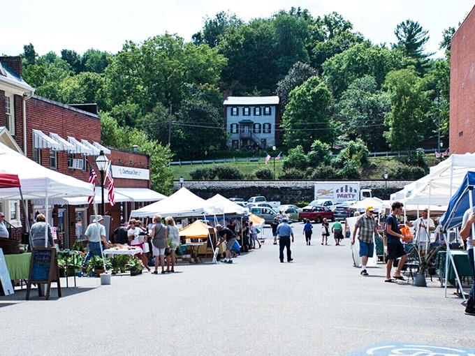 The farmers market transforms ordinary pavement into a community gathering spot where conversations flow as freely as the locally-grown produce.