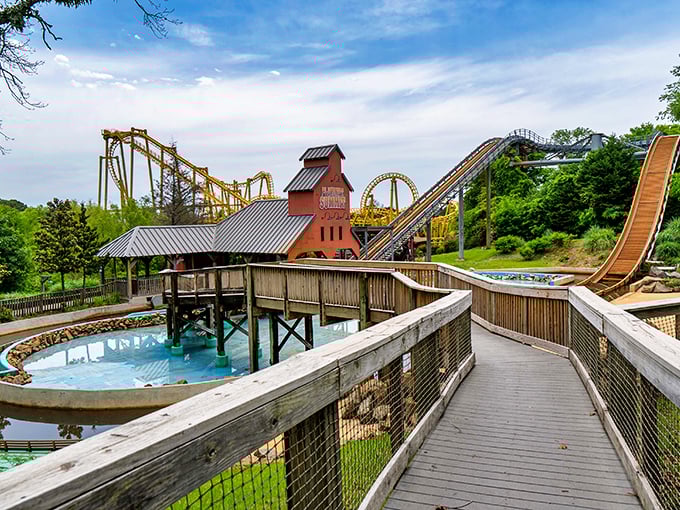 Magic Springs Theme Park offers rollercoasters and water slides that remind you retirement doesn't mean you've outgrown the joy of controlled terror.
