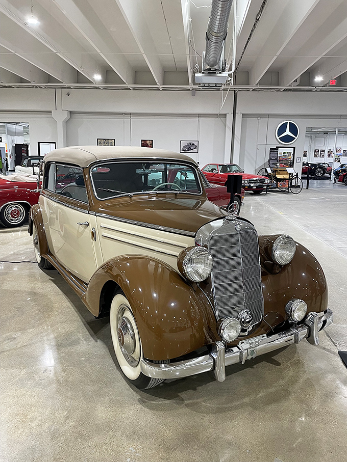 This elegant Mercedes-Benz represents an era when cars were built like fine furniture. Its two-tone paint scheme and white-wall tires scream mid-century sophistication.