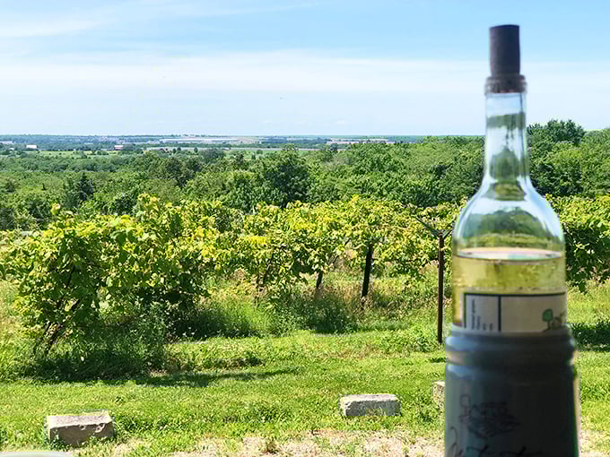 Missouri's wine country offers scenic vistas and local vintages – proving you don't need a passport to Napa to enjoy an afternoon of sophisticated sipping.