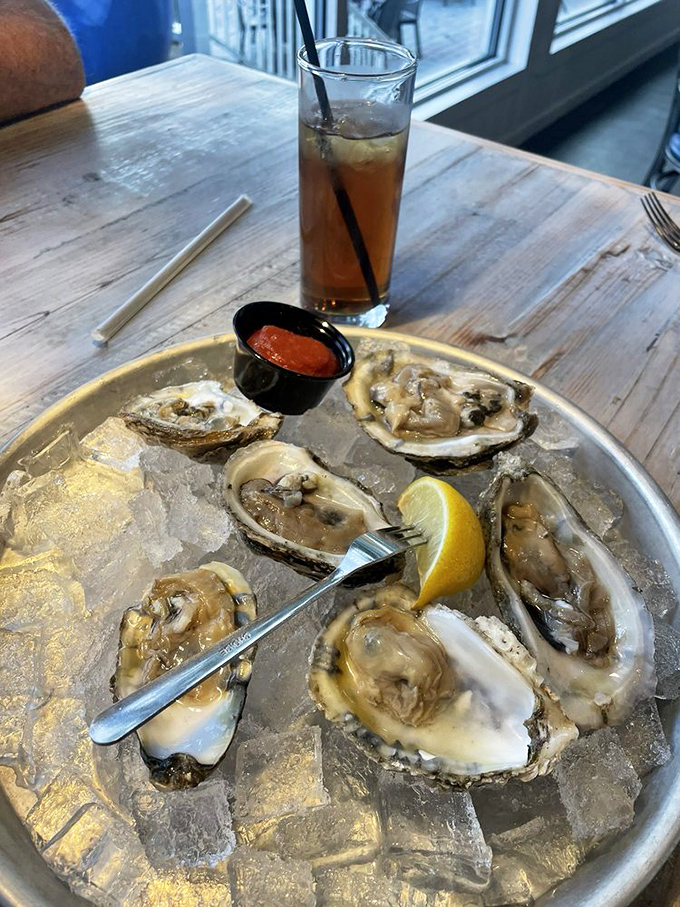 Fresh oysters on ice—nature's perfect appetizer and the ocean's way of saying, "You're welcome." The cocktail sauce is just showing off.