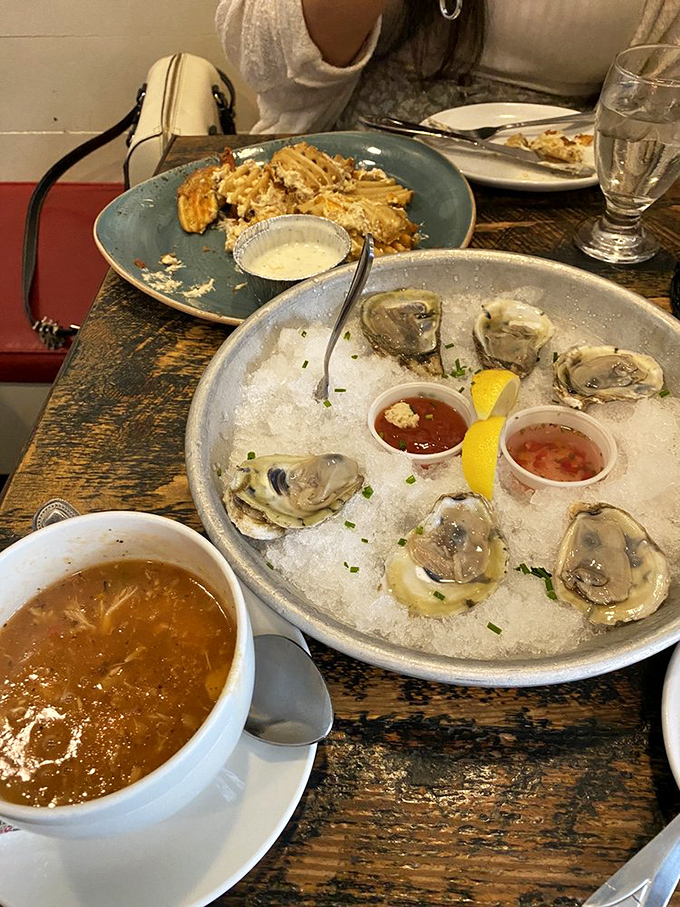 Fresh oysters on ice – nature's perfect appetizer. Add a splash of cocktail sauce and suddenly Monday feels like a celebration.