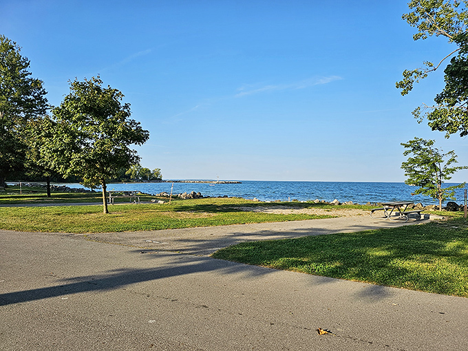 Lakeside picnic spots that make ordinary sandwiches taste like gourmet meals. The view is the secret ingredient.