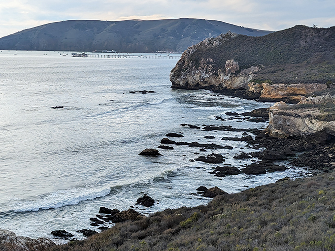 The kind of panorama that makes smartphone cameras weep with inadequacy. Some views simply demand to be experienced in person.