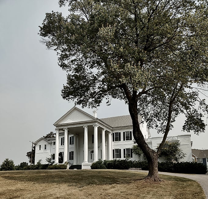 Prospect Hall Mansion stands like a Southern plantation transported to Maryland. Those imposing white columns have witnessed generations of celebrations and whispered secrets.
