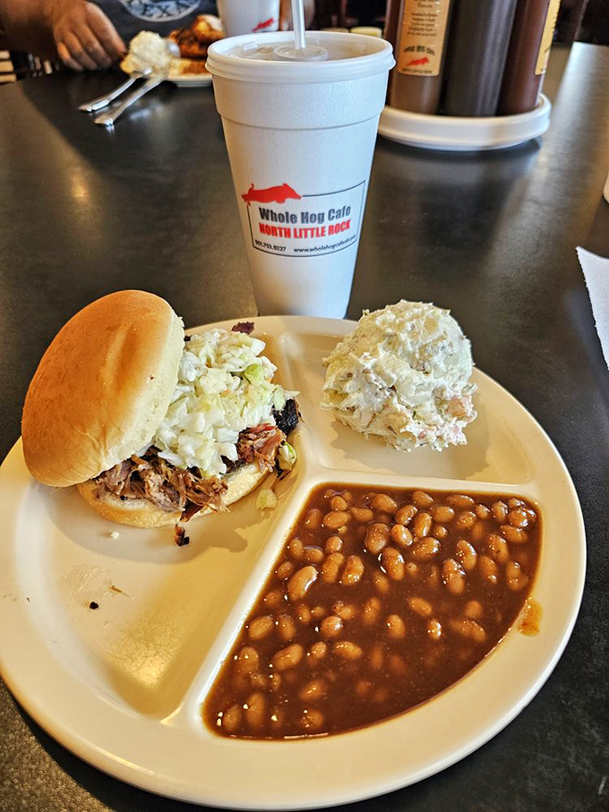 Simplicity perfected: a pulled pork sandwich with classic sides. Sometimes the straightforward approach delivers the most profound satisfaction.