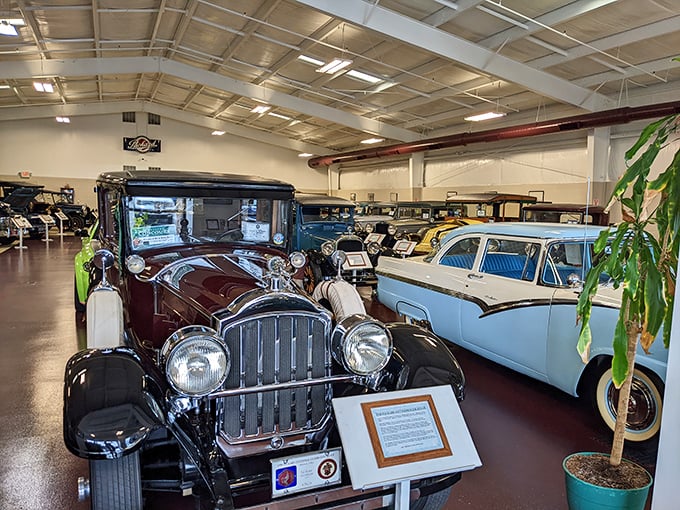 That powder blue beauty isn't just a car&mdash;it's a masterpiece of design with enough chrome to blind you on a sunny Kentucky afternoon.