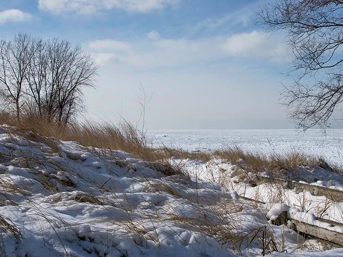 Winter transforms the landscape into a serene wonderland. Even in the coldest months, Lake Michigan's frozen shoreline offers a different kind of breathtaking beauty.