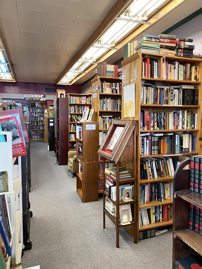 Warm wood shelving creates corridors of knowledge in every direction. You'll need breadcrumbs to find your way back.