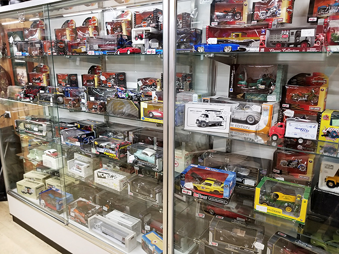 Die-cast dreams behind glass—where childhood Hot Wheels fantasies meet adult collecting obsessions. These miniature masterpieces never need oil changes or insurance.