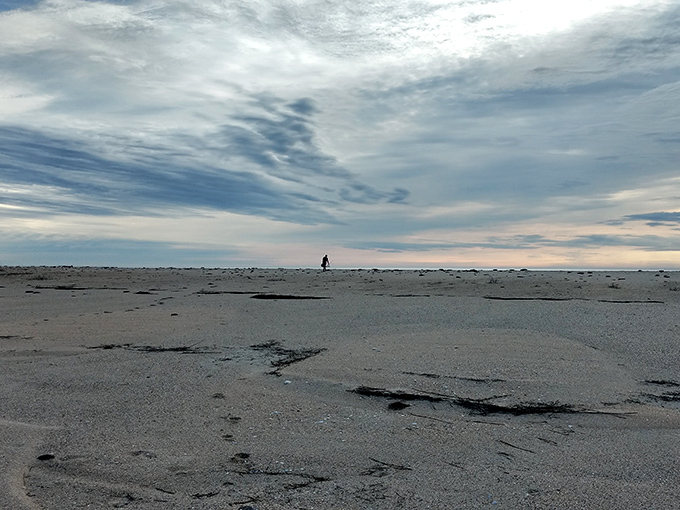 So much empty beach, you'll think you've stumbled onto a private island. The vastness of Masonboro's shoreline makes every visitor feel like an explorer.
