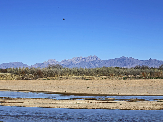 The majestic Organ Mountains provide nature's backdrop to Mesilla Valley, their jagged peaks resembling the pipes of a grand cathedral.