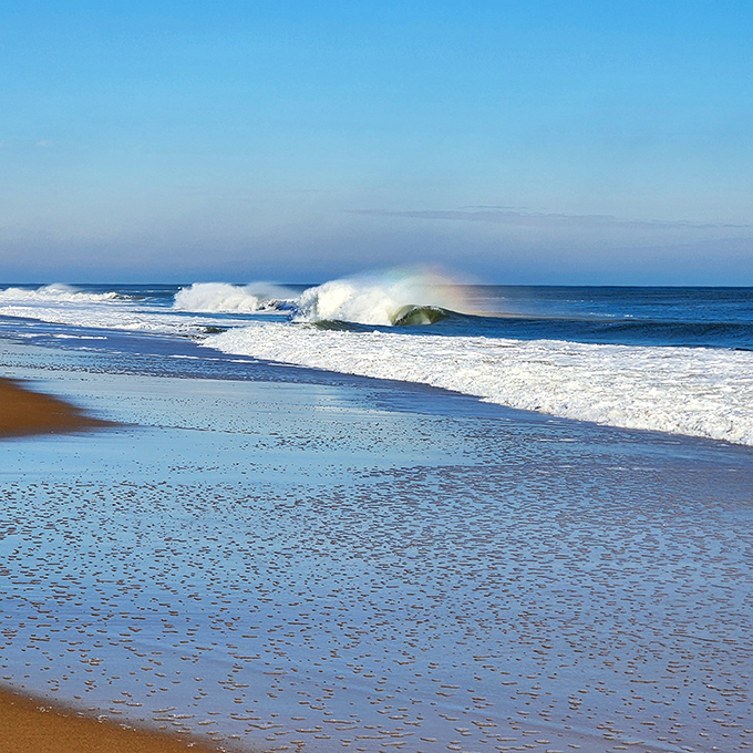 The Atlantic showing off its morning mood. That perfect wave curl contains more poetry than most literature classes&mdash;and it's different every day.