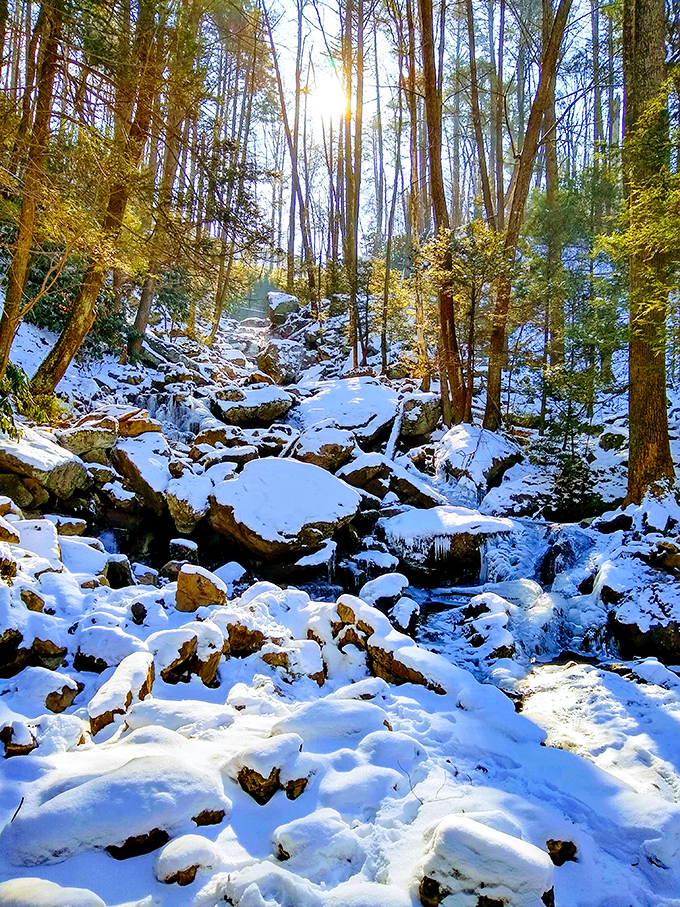 Winter transforms Swatara's rocky landscape into a snow-dusted wonderland that would make Narnia jealous.