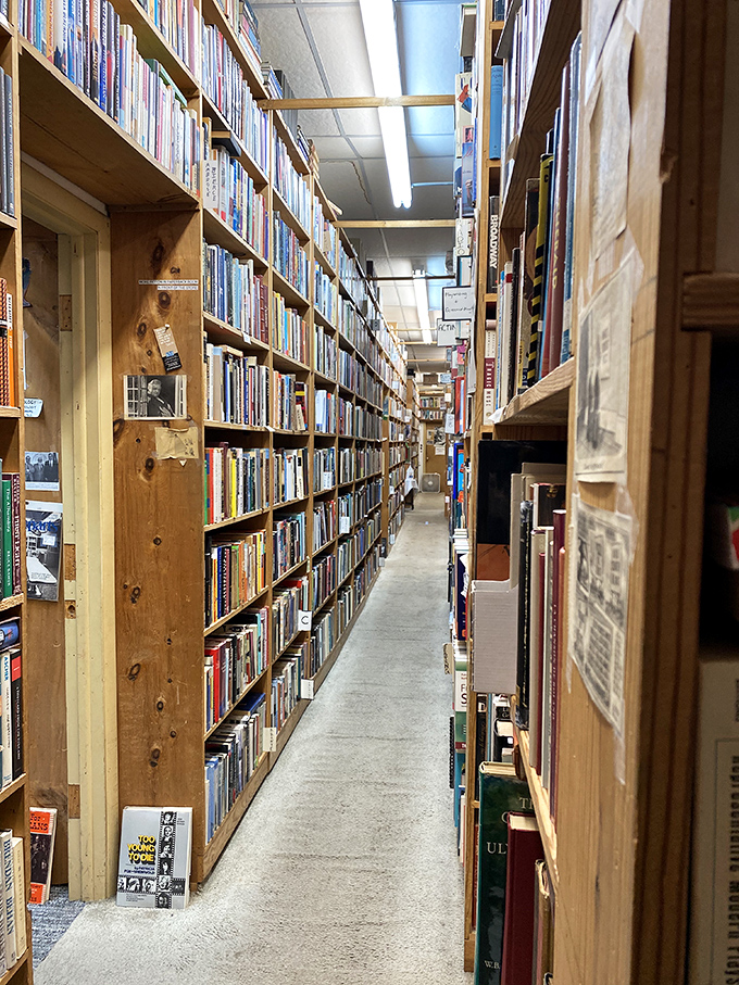 This isn't just an aisle&mdash;it's a portal to other worlds, with each shelf offering a different dimension of escape from everyday reality.