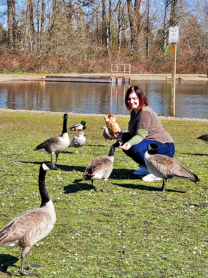 Feeding geese at the park: free entertainment that's guaranteed to make you feel like the most popular person in Salem.