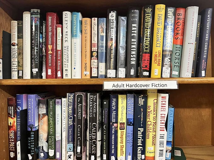 A bibliophile's dream section where hardcover fiction titles stand at attention, ready for their next reader's imagination to bring them alive.