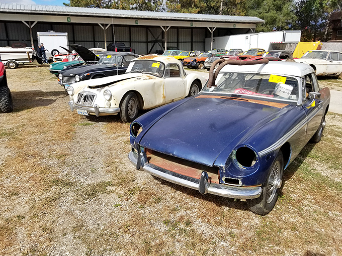 Even project cars deserve love. This outdoor collection of classics-in-waiting shows that beauty exists in potential&mdash;each one a diamond waiting to be polished.