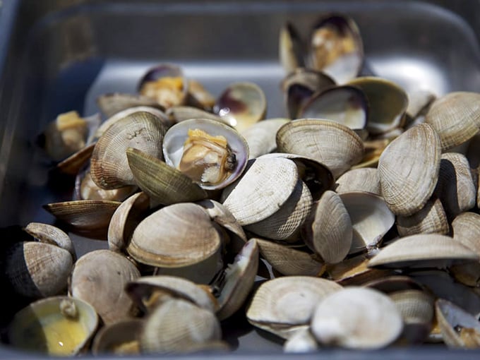 Picnic tables with a million-dollar view. At Kelly's, the rustic dining setup is all part of the authentic coastal experience. 