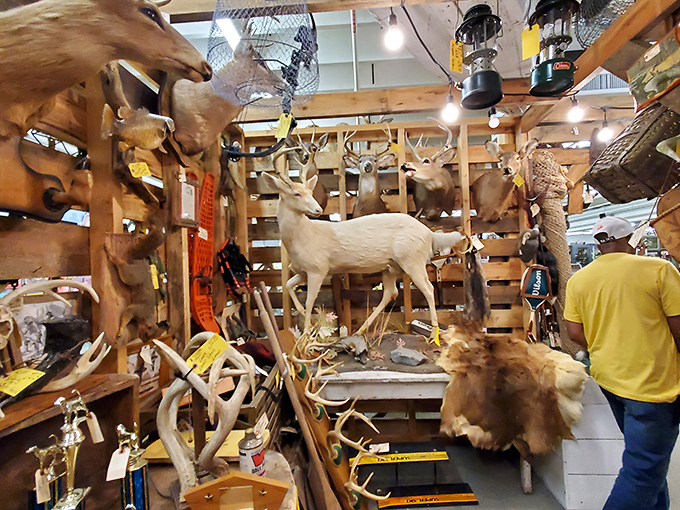 An entire woodland menagerie watches over shoppers in this section. The deer aren't the only ones frozen in place &ndash; shoppers stop in amazement too!