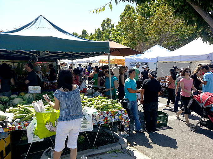 Farmers markets: where "supply chain" means the distance between the soil and your shopping bag. Fresh corn never looked so tempting.