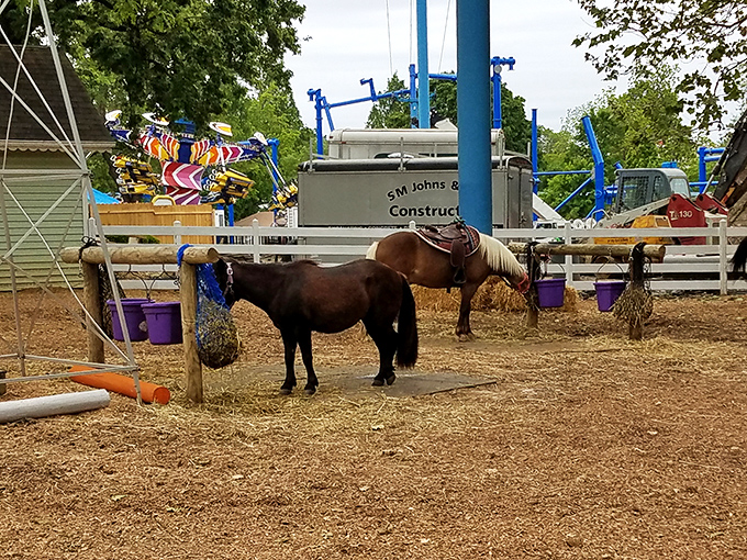 Duke's Dozers – where future construction workers and city planners get their first taste of moving earth and building dreams.