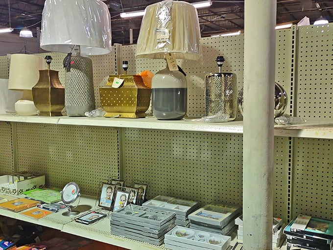 Lamps and home decor items await their forever homes. That perfect accent piece you never knew you needed until this very moment.