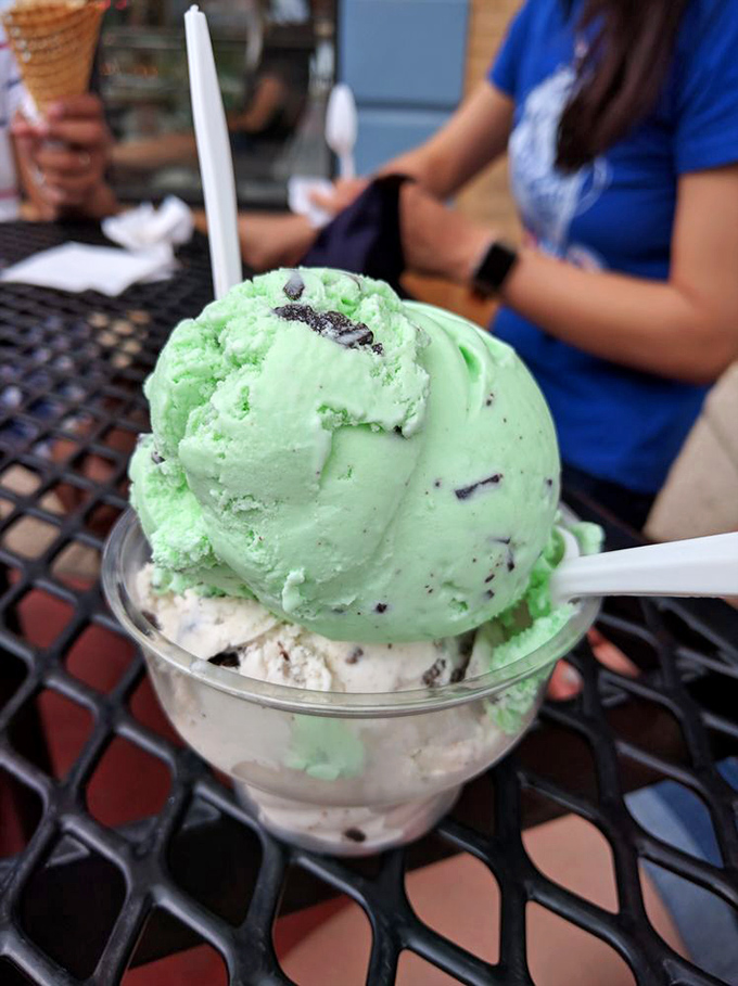 Mint chocolate chip: Nature's apology for ever inventing vegetables. This green masterpiece is meditation in a cup, with chocolate playing the role of thoughtful interruption.