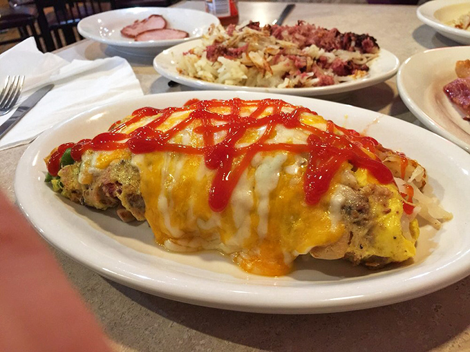 This isn't just an omelet &ndash; it's a cheese-blanketed masterpiece topped with what appears to be a zigzag of ketchup for the adventurous breakfast enthusiast.