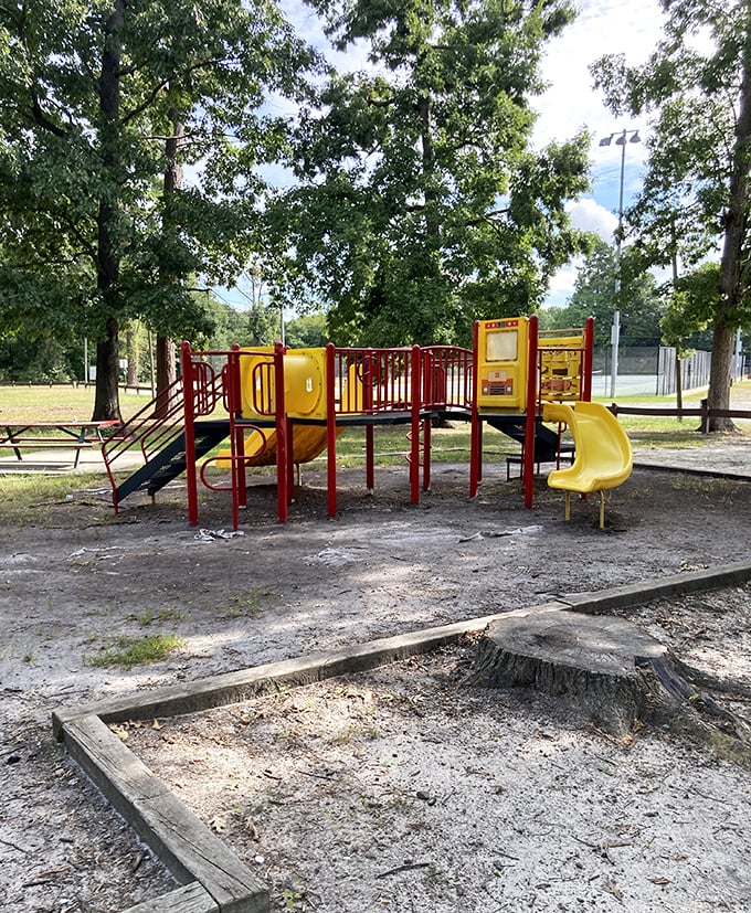 Playgrounds where the only thing inflated is the fun. Petersburg's family-friendly parks provide entertainment for the youngest residents while parents enjoy the price tag&mdash;free.