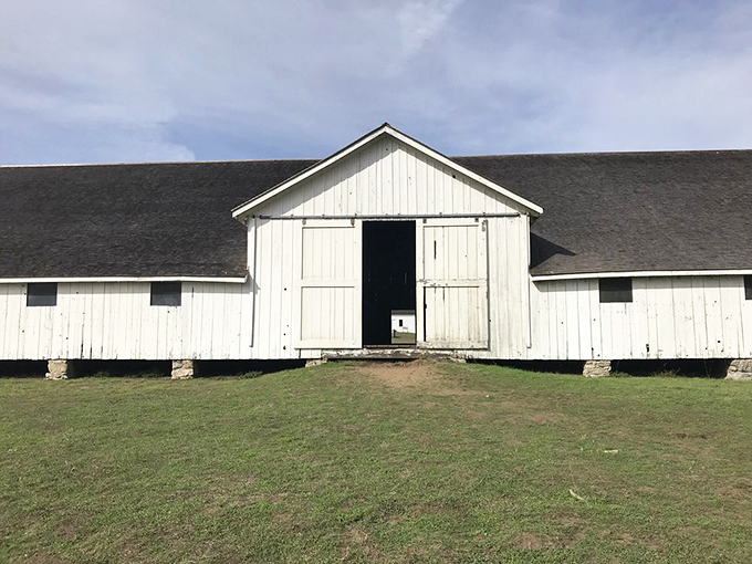 This weathered white barn has seen more California history than most history books. If only its wooden walls could share their stories.