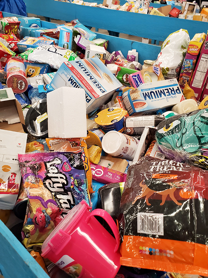 Each blue bin contains a surprise assortment that makes every shopping trip feel like your birthday and Christmas rolled into one bargain-priced package.