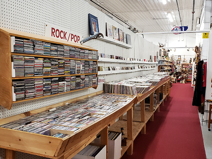 Vinyl paradise where music lovers can physically browse through decades of sonic history instead of just clicking "next."