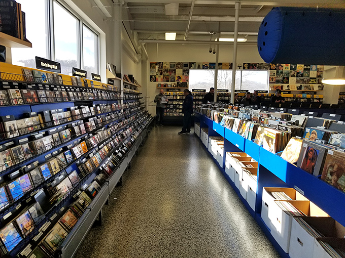 Album covers create a mosaic of musical history, each sleeve a time capsule of melodies, memories, and magnificent hair.