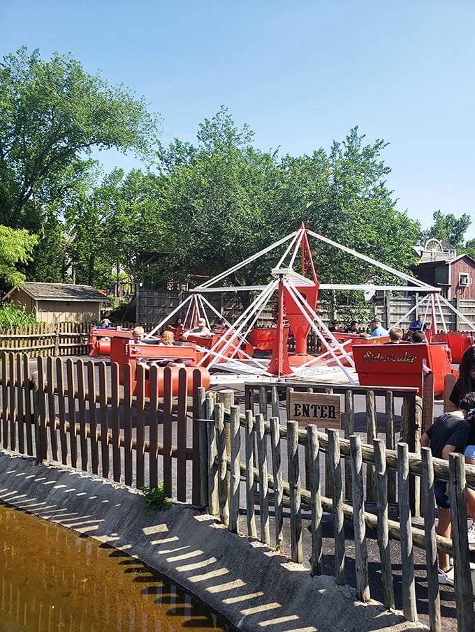 The Sidewinder ride spins adventurous souls in circular patterns, proving that even cowboys and cowgirls occasionally need to let loose and get dizzy.