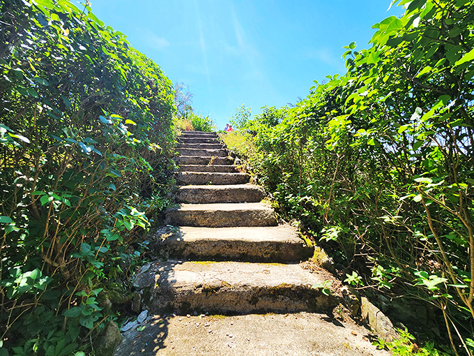 These stone steps, embraced by greenery, invite exploration&mdash;each one leading you deeper into the island's blend of natural beauty and human history.