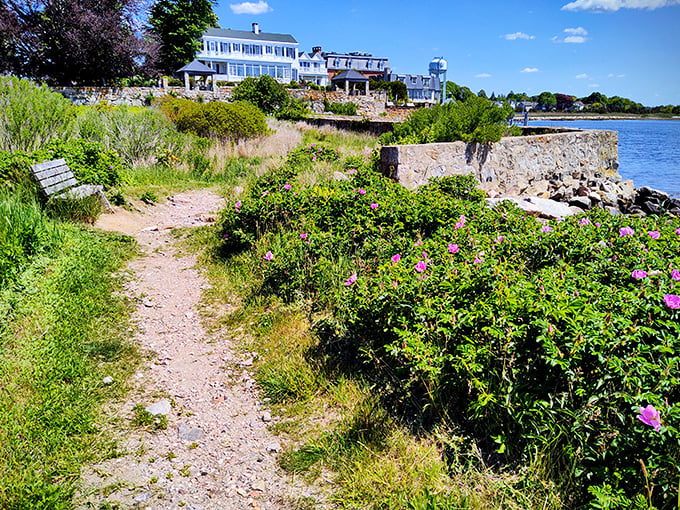 Wild beach roses frame coastal walking paths, nature's perfect complement to the architectural beauty perched above the shoreline.
