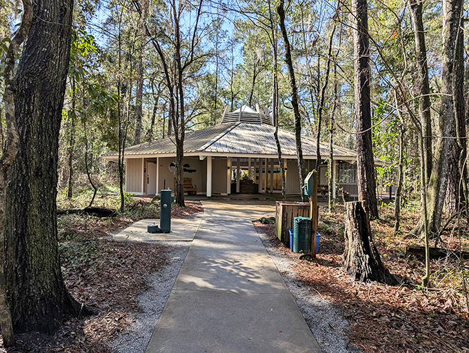 Not all visitor centers are created equal. This charming octagonal building houses the secrets of Florida's unexpected geological history.