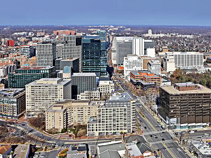 Bethesda's skyline might look urban, but zoom in and you'll find neighborhoods where connections run deeper than concrete foundations.