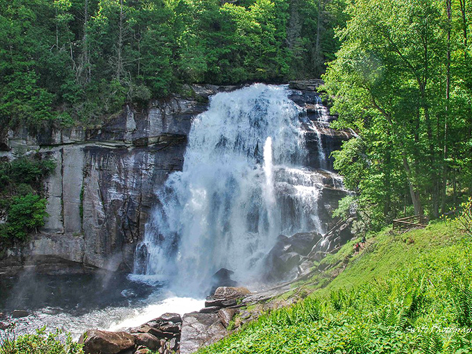 Nature's majesty on full display at this thundering waterfall near Cashiers. The perfect backdrop for making memories with friends and family.