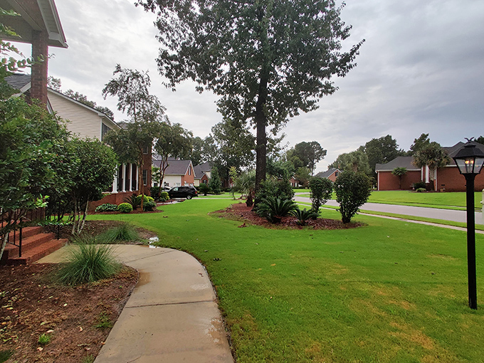 Goose Creek's residential streets offer a glimpse of everyday Southern living. Those manicured lawns hide countless neighborhood barbecues!